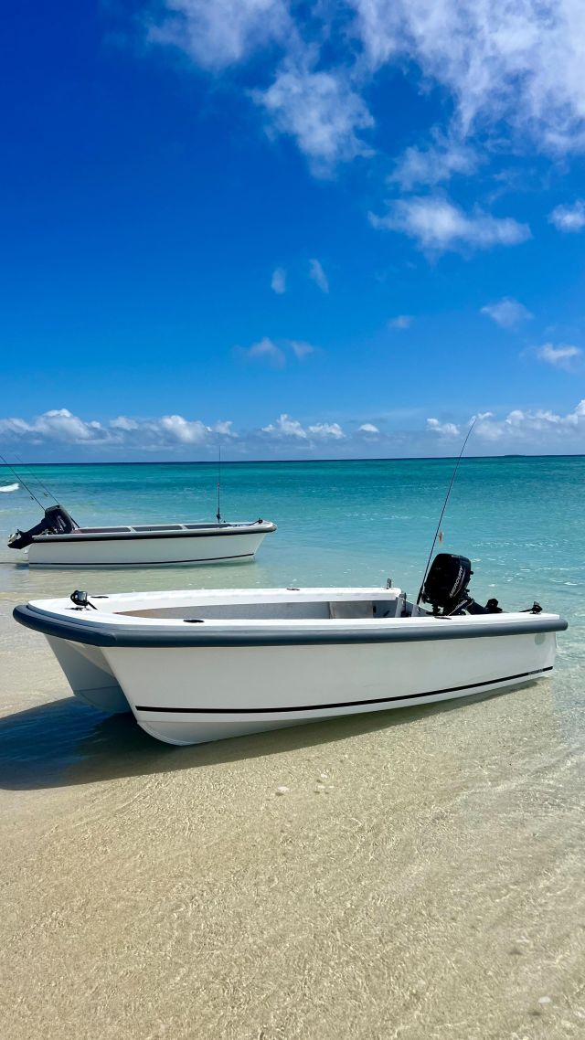 Models - Scimitar Power Catamarans